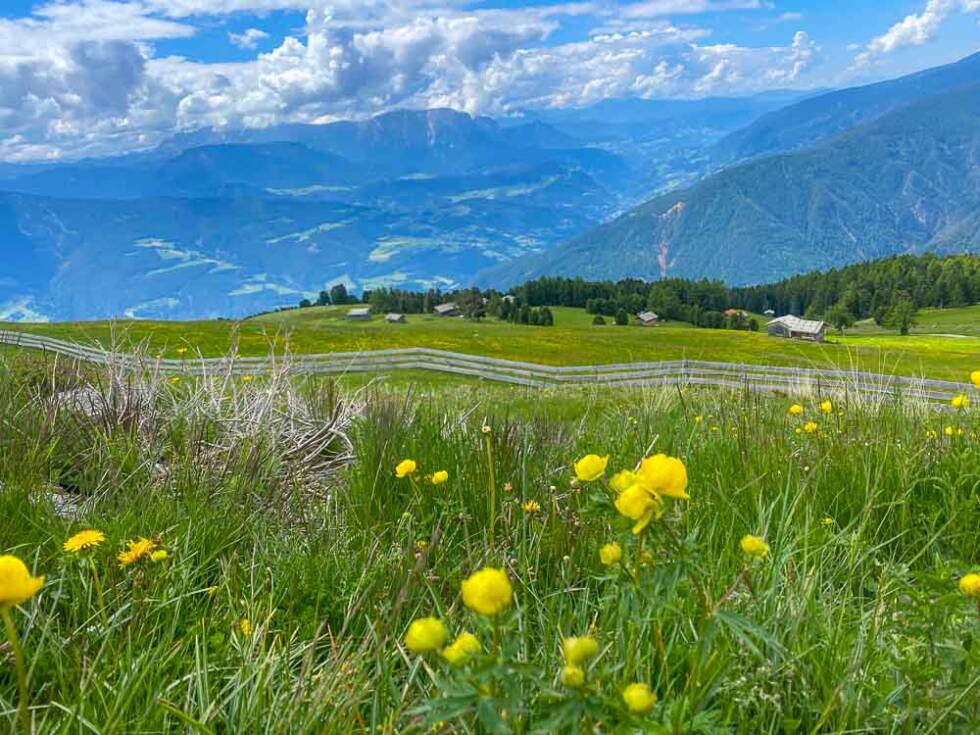 Al Rifugio Lago di Rodella: 10 canederli diversi! - Il Trentino Alto ...